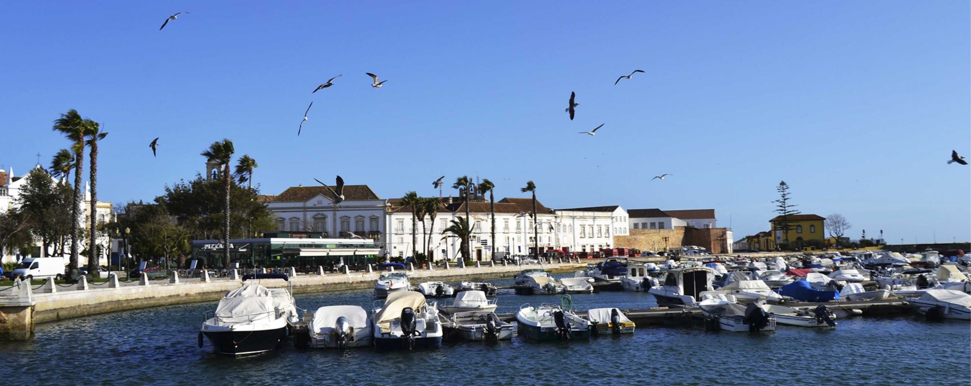 Discover The Best Things To Do In Faro.
