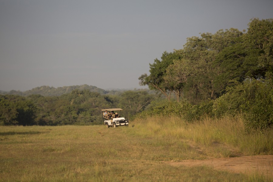 Pamuzinda Safari Lodge. Discover A Perfect Overnight Stop By Zimbabwe ...