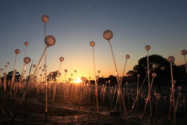 Field Of Light At Sensorio, Paso Robles