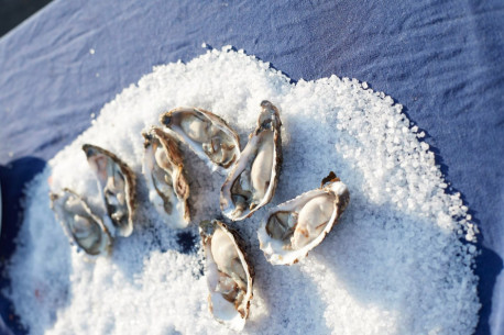 Bert's Kitchen Garden: Irresistible Welsh Meadow Dining