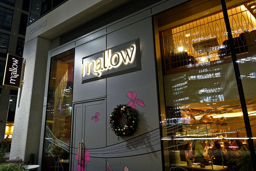 Mallow Restaurant Reviewed. Elevated Vegan Fine Dining